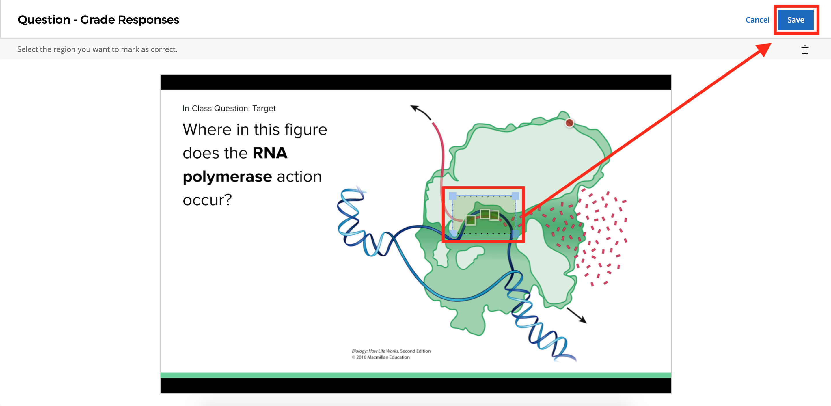 How to Grade and View Polling Results on the iClicker Cloud Instructor ...