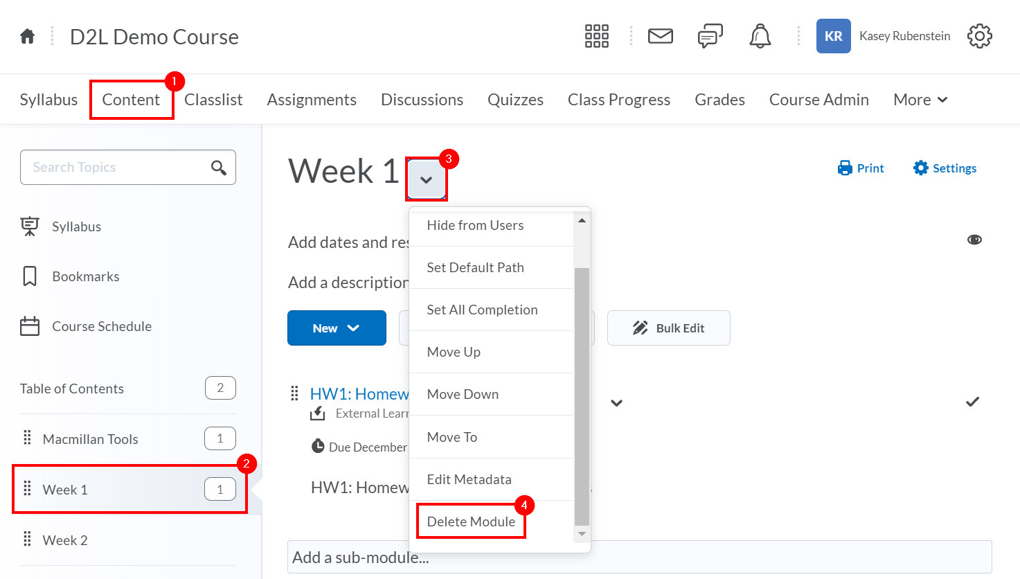 Troubleshooting deep integration with D2L/Brightspace as an instructor ...
